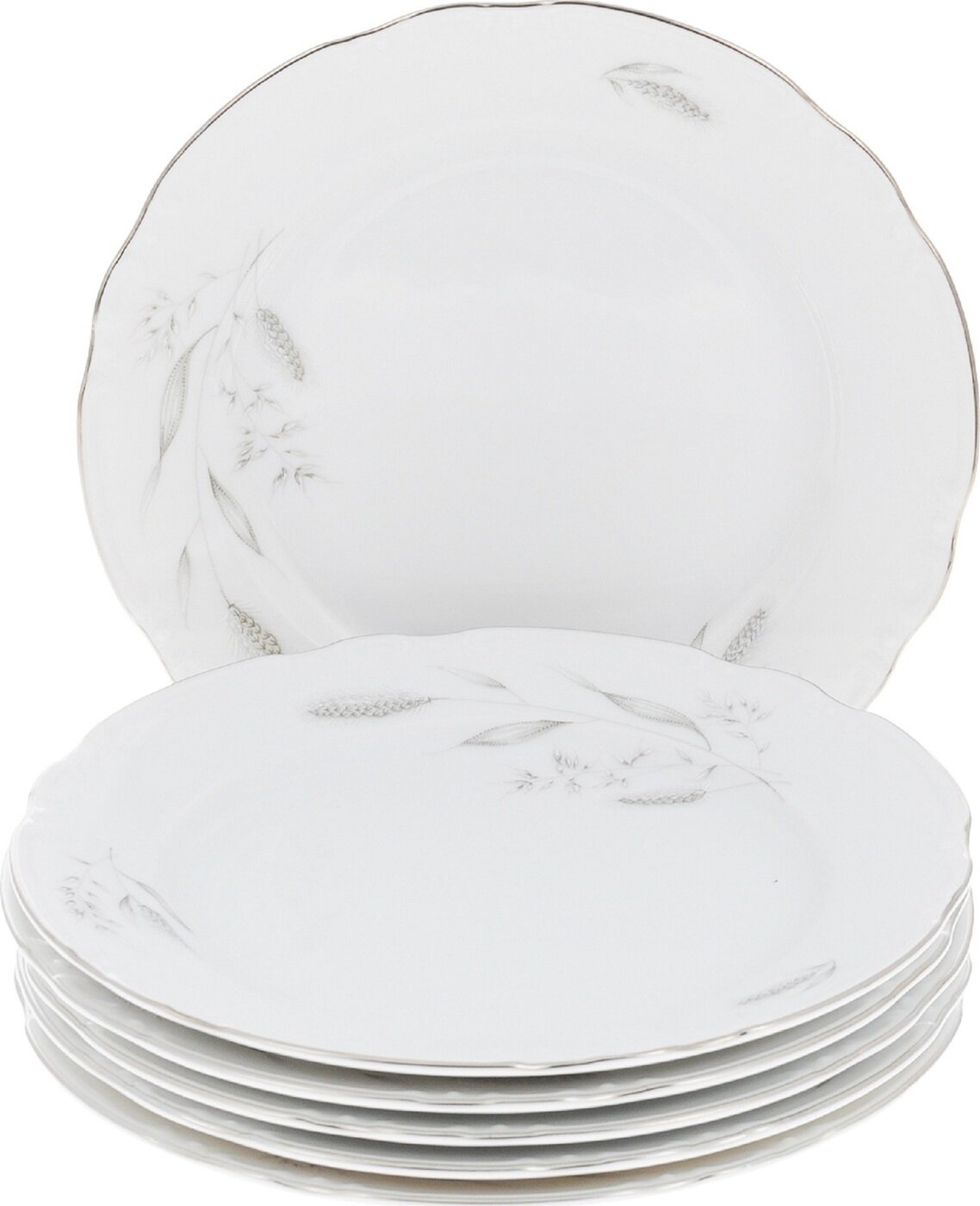 Тарелка десертная 17 см; "Constance", декор "Серебряные колосья, отводка платина", 6 шт, Thun/ БТФ0756