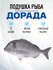 Подушка игрушка рыба Дорада