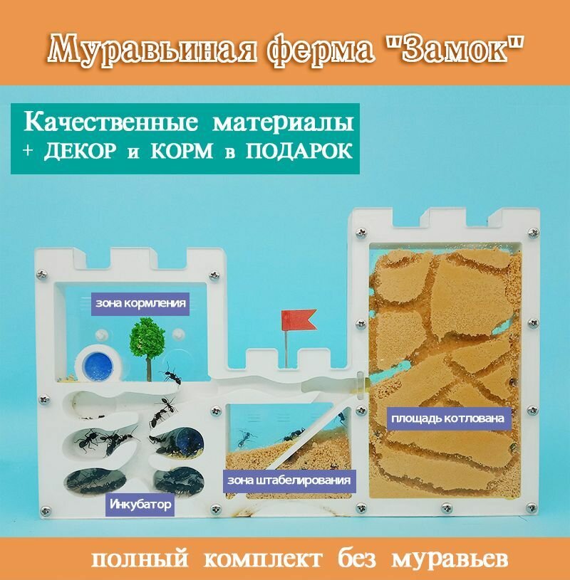 Муравьиная ферма/ формикарий вертикальный/прозрачный
