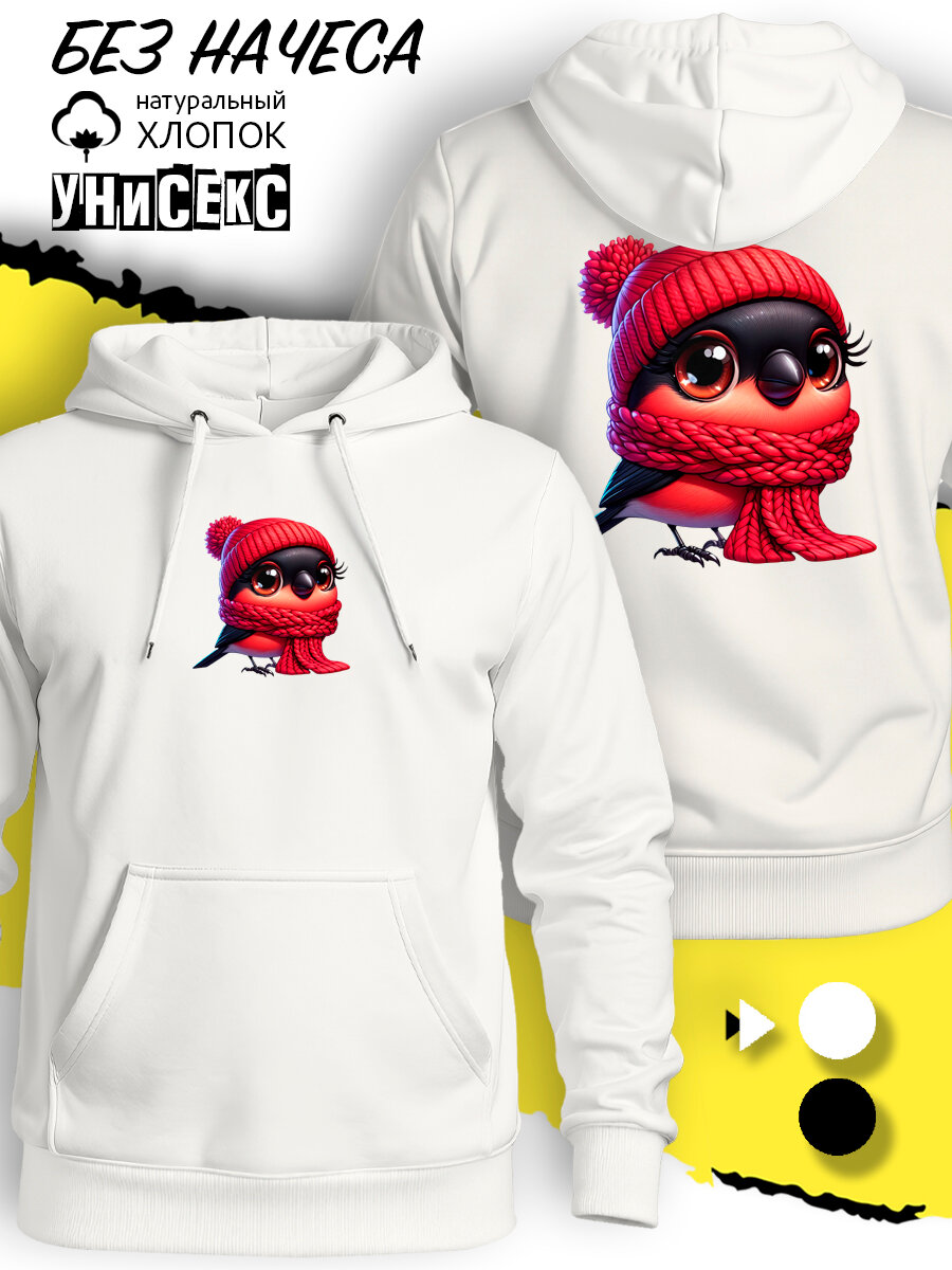 Худи Толстовка свитшот со снегирем