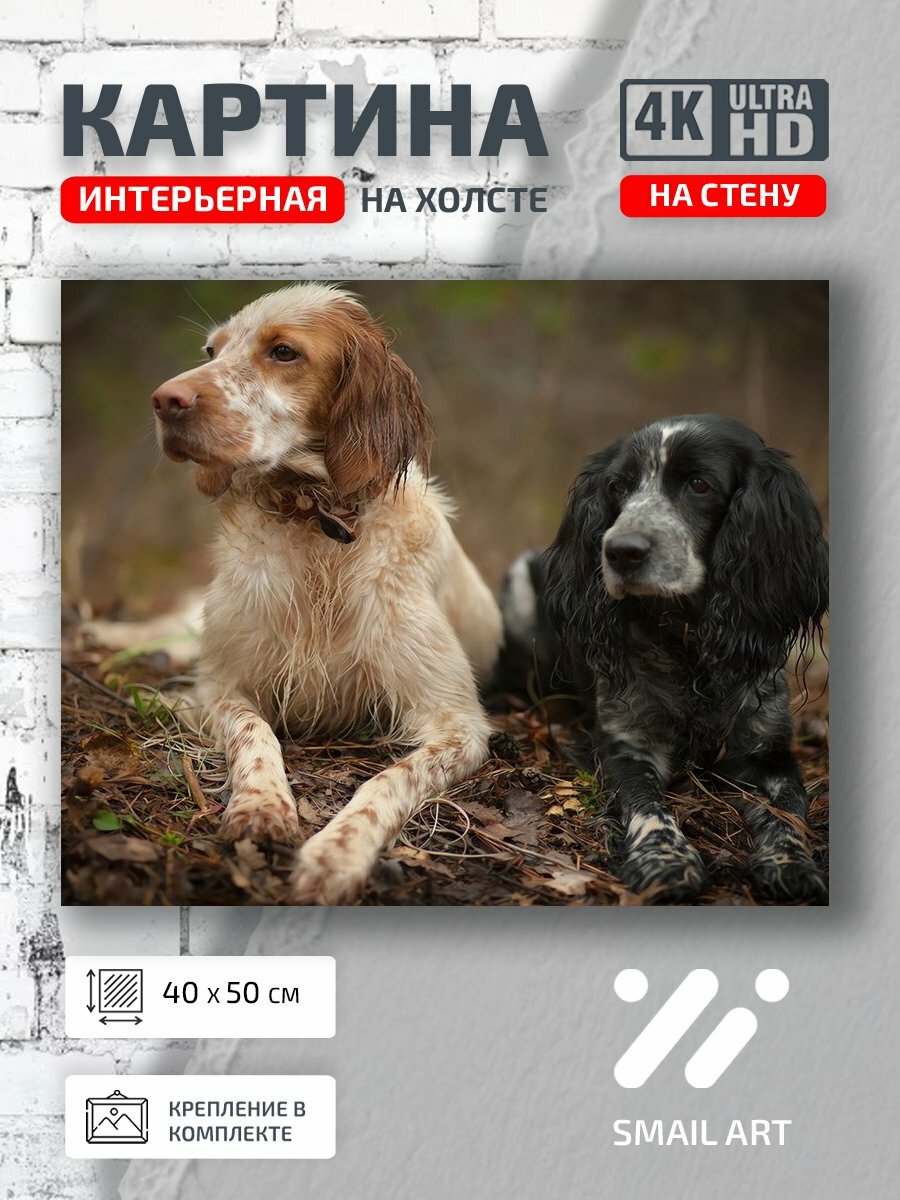 Картина на холсте интерьерная 40 на 50 на стену Собака dog для спальни пейзаж интерьер