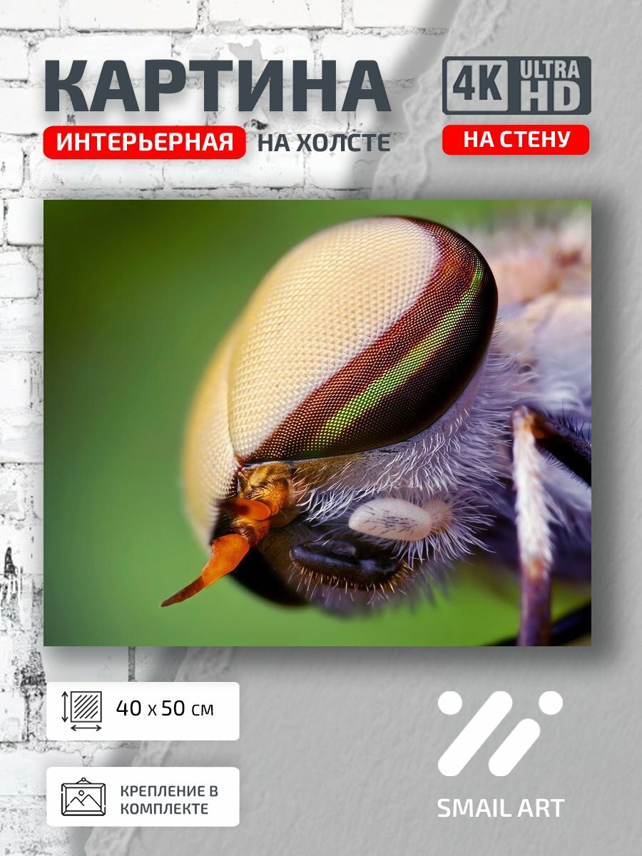 Картина на холсте интерьерная 40 на 50 на стену Насекомое Mood для спальни атмосфера декор