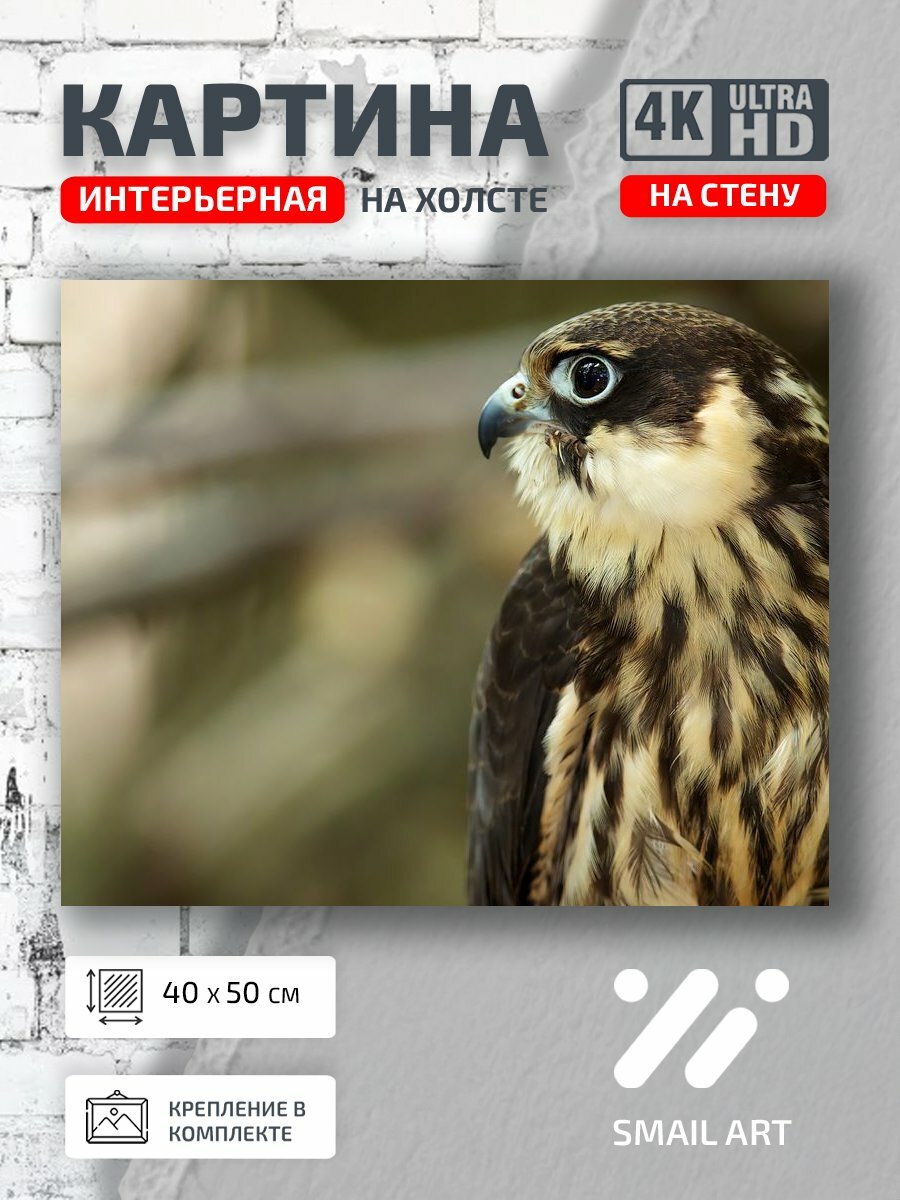 Картина на холсте интерьерная 40 на 50 на стену Птица Landscape для кафе пейзаж интерьер