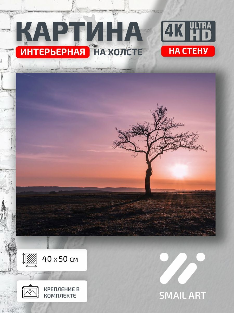 Картина на холсте интерьерная 40 на 50 на стену Закат Landscape для офиса пейзаж интерьер