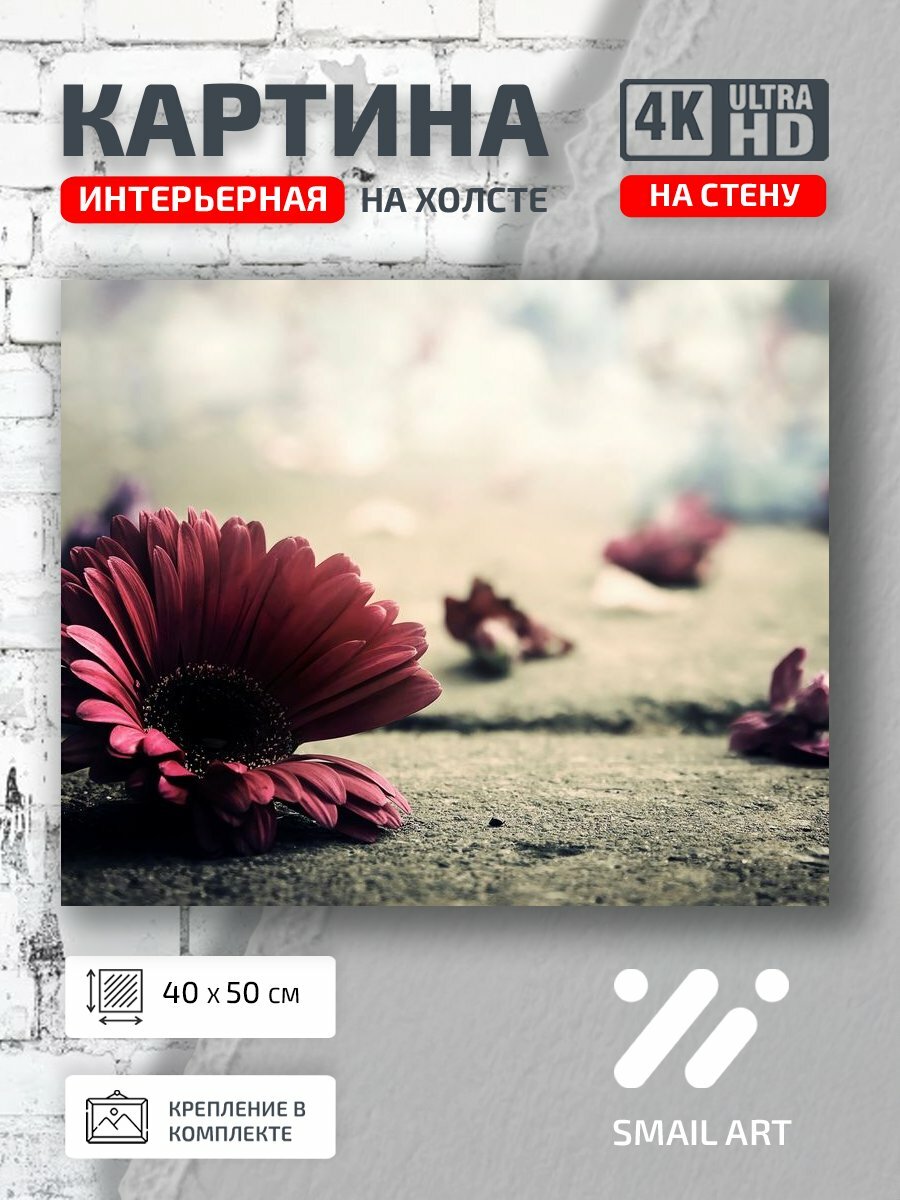 Картина на холсте интерьерная 40 на 50 на стену Гербера Mood для кабинета атмосфера декор