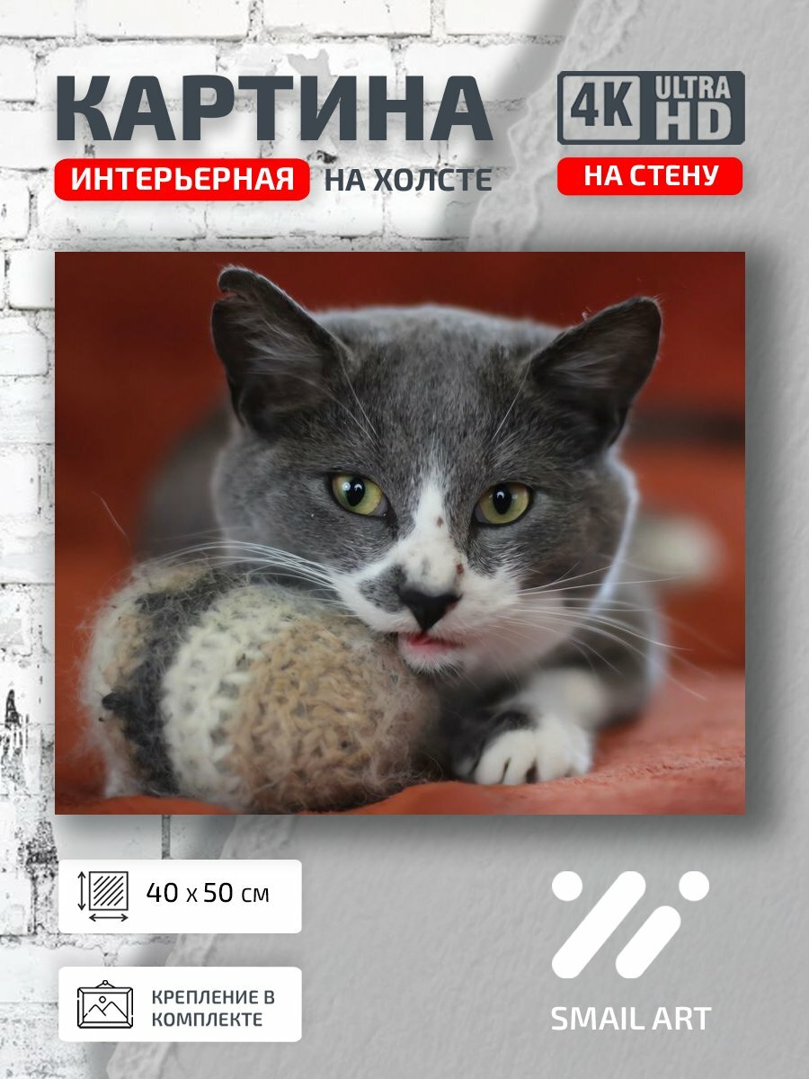 Картина на холсте интерьерная 40 на 50 на стену Кот Animal для кафе animal style интерьер