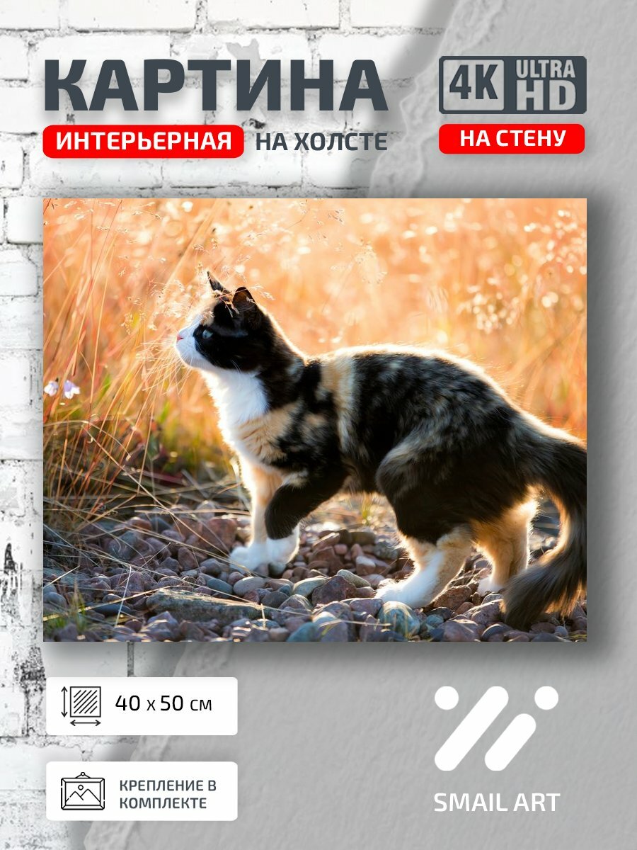 Картина на холсте интерьерная 40 на 50 на стену Поляна Animal для гостиной animal style