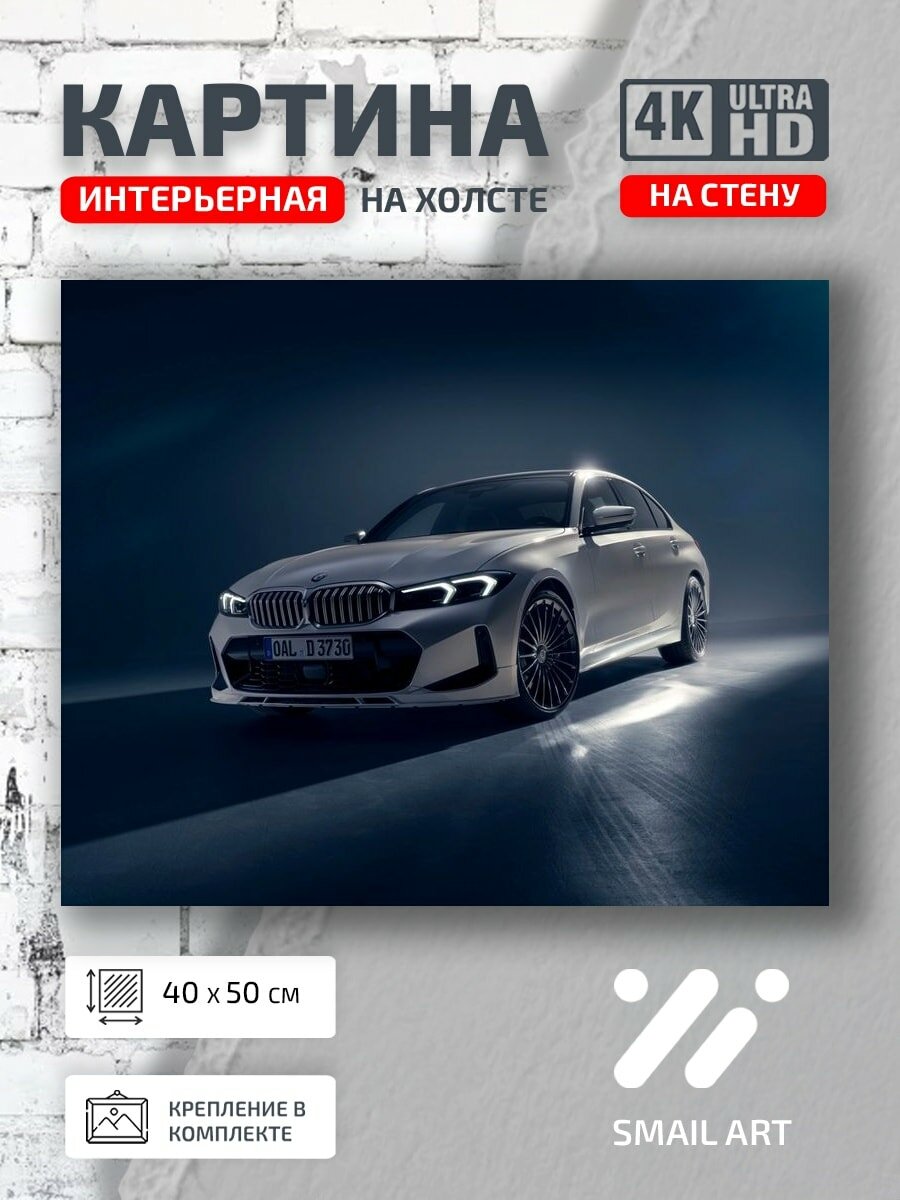 Картина на холсте интерьерная 40 на 50 на стену M3 Limousine для офиса атмосфера