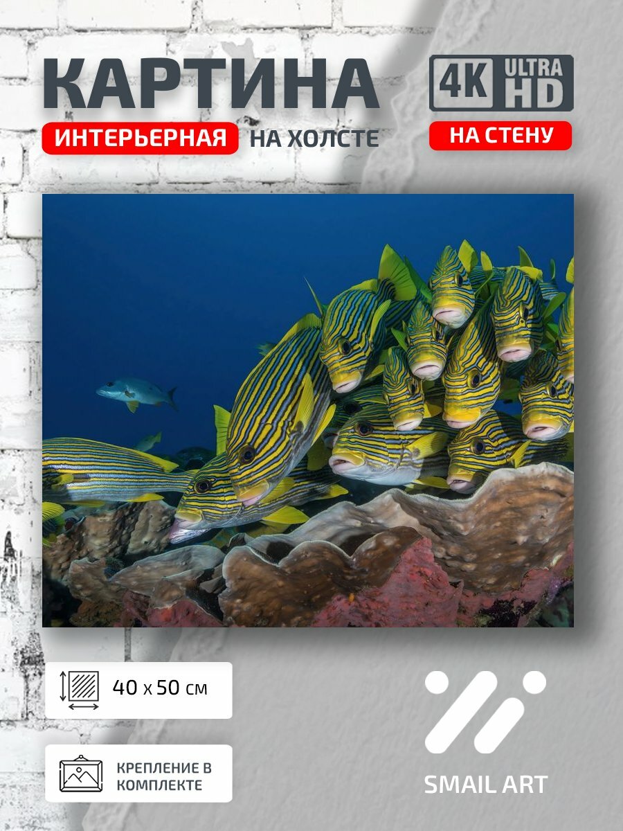 Картина на холсте интерьерная 40 на 50 на стену Желто-синие Mood для офиса атмосфера декор