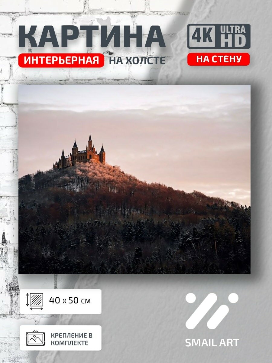 Картина на холсте интерьерная 40 на 50 на стену Castle Hohenzollern для кабинета атмосфера