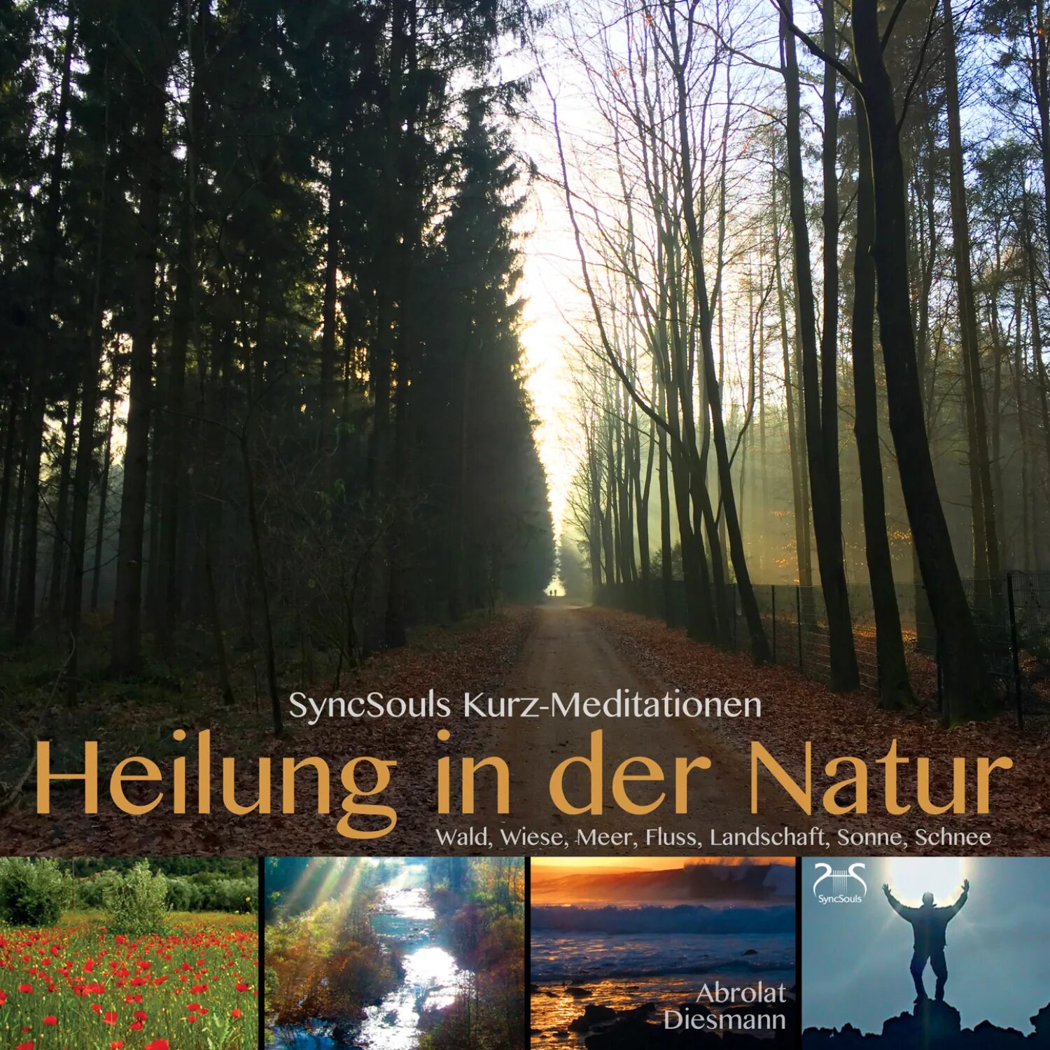Heilung in der Natur - SyncSouls Kurzmeditationen: Wald, Wiese, Meer, Fluss, Landschaft, Sonne, Schnee [Аудиокнига]