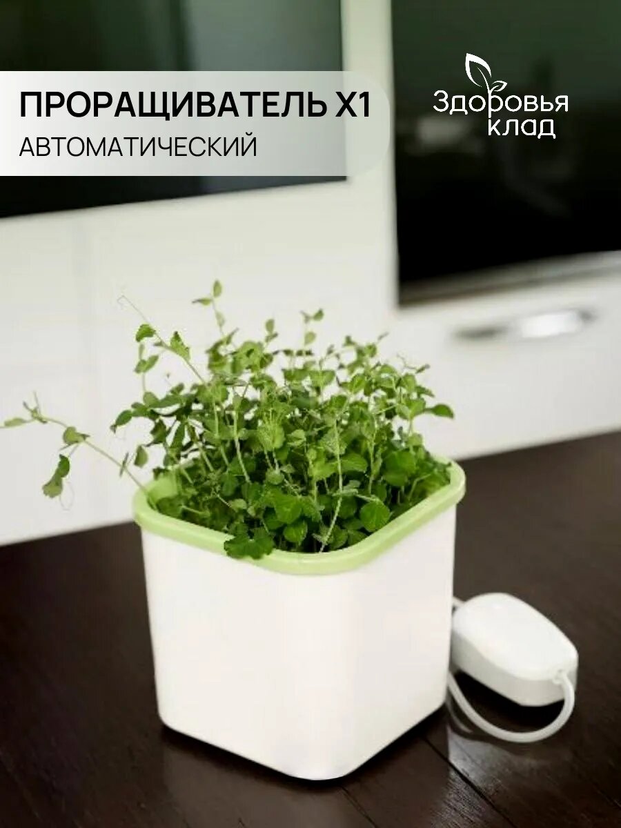 Проращиватель автоматический