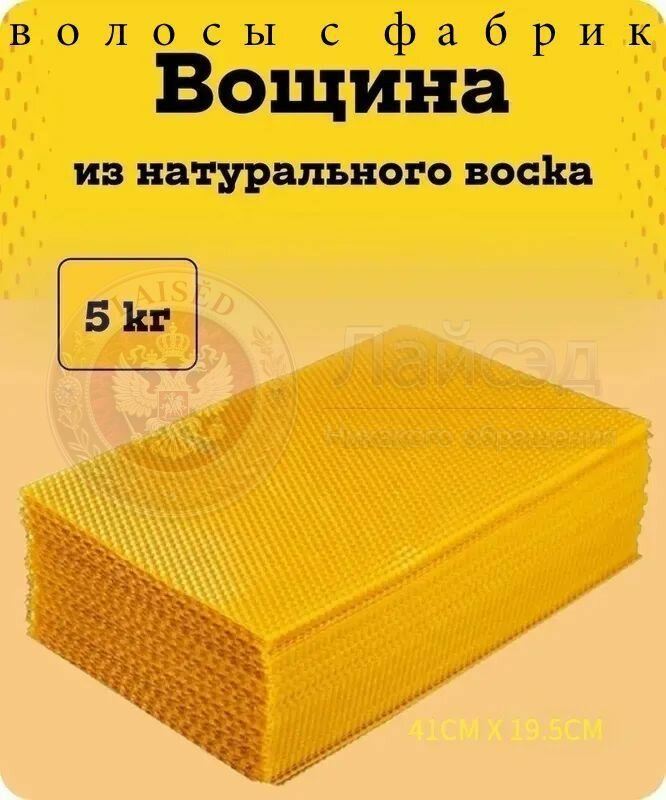 Вощина