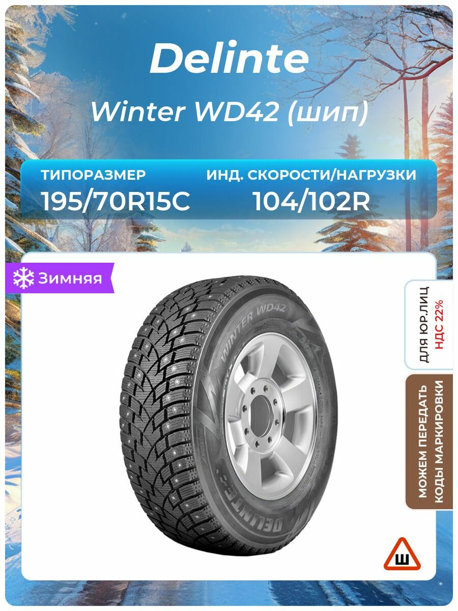Шина Delinte Winter WD42