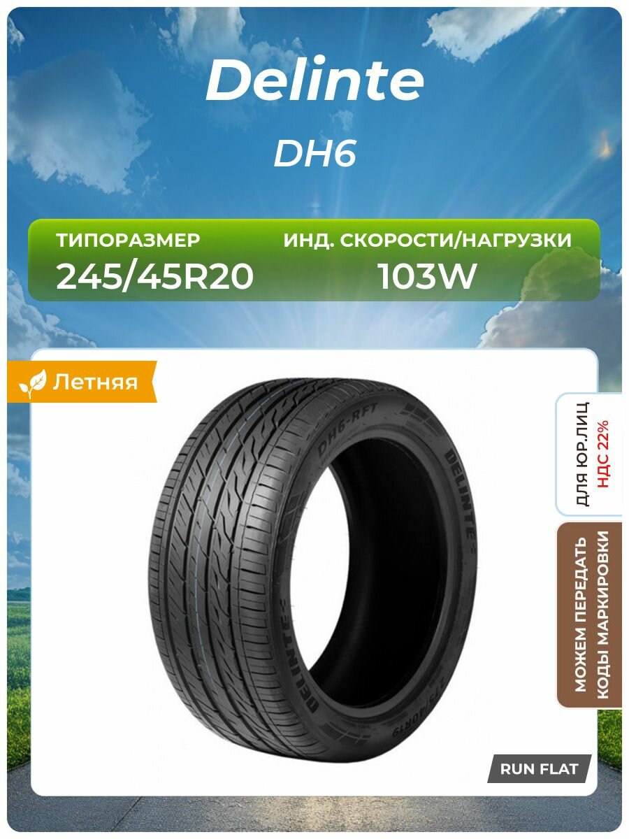 Шина Delinte DH6 RFT