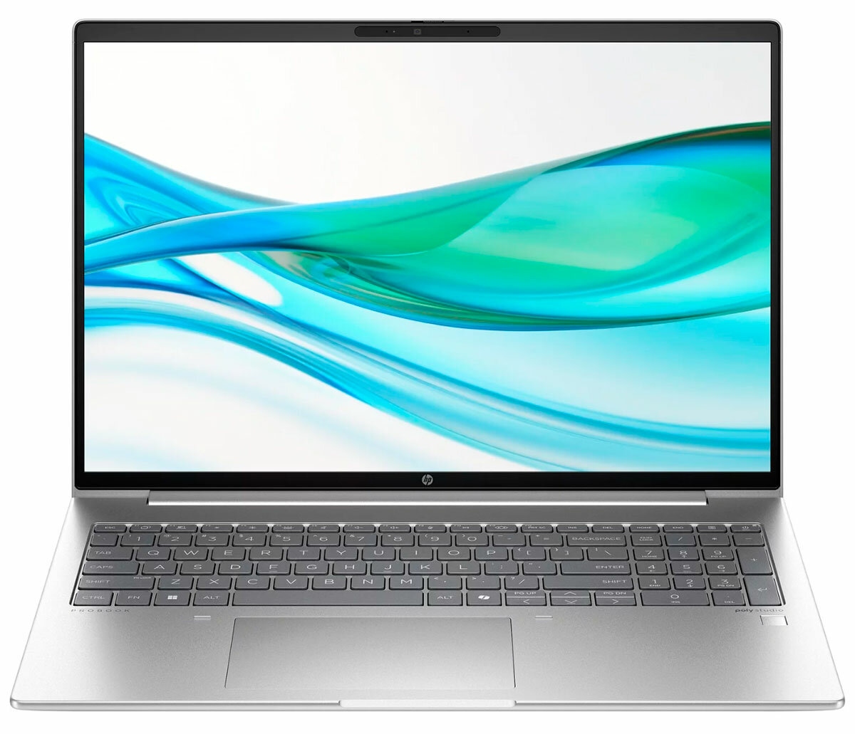 Ноутбук HP PROBOOK 460 G11 (AD2G9ET), серебристый