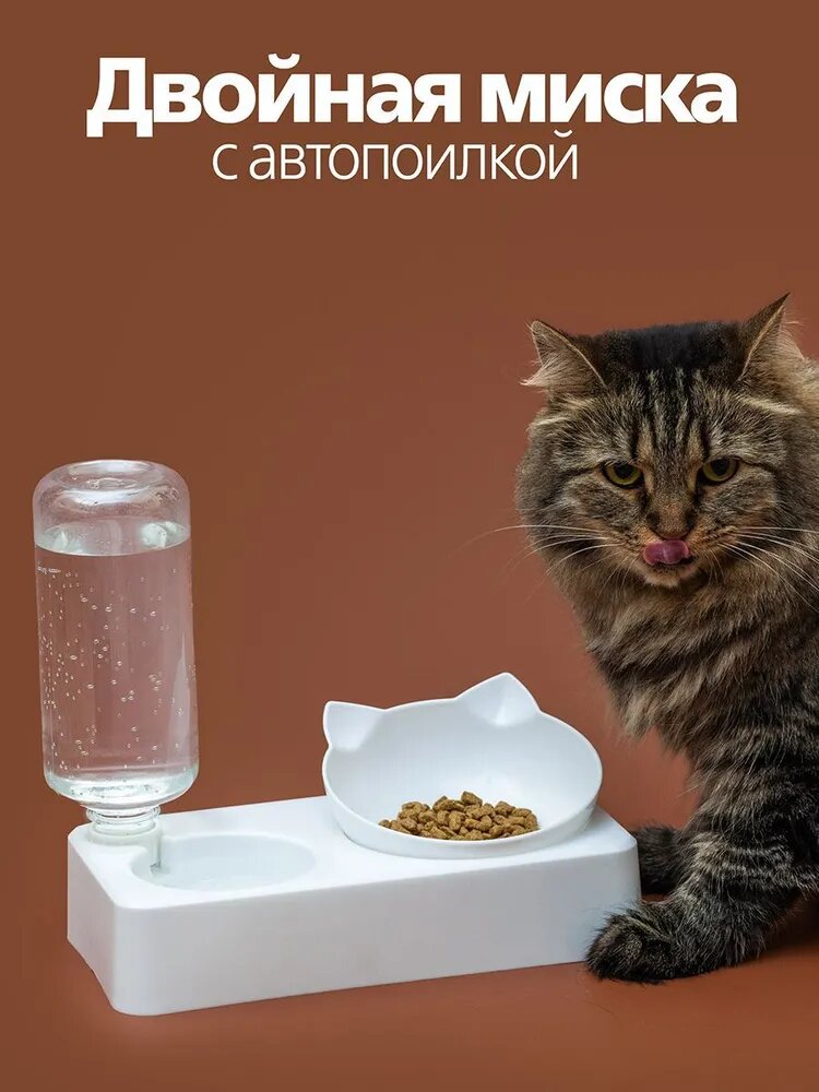 Миска для животных