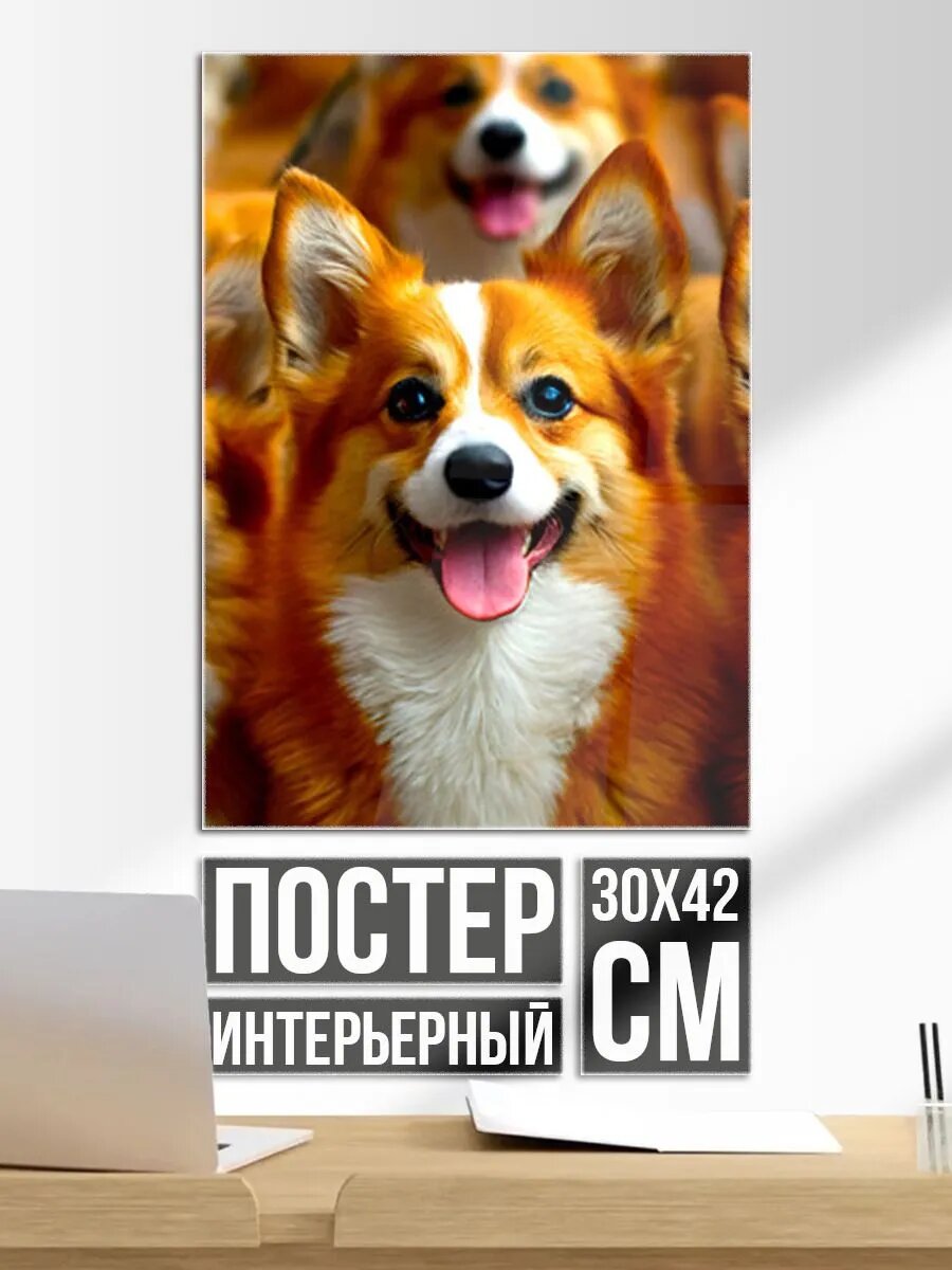 Постер на стену Корги с языком наружу