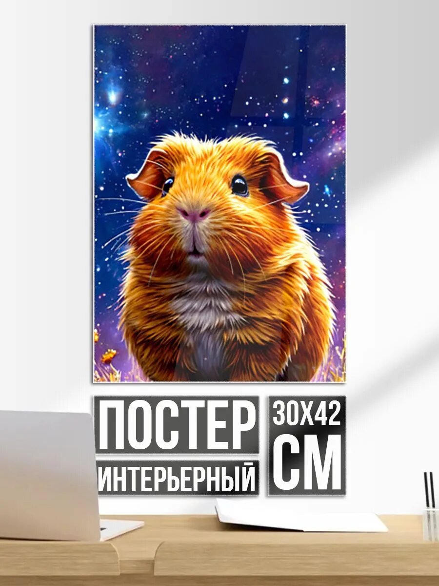 Постер на стену Морская свинка в космосе