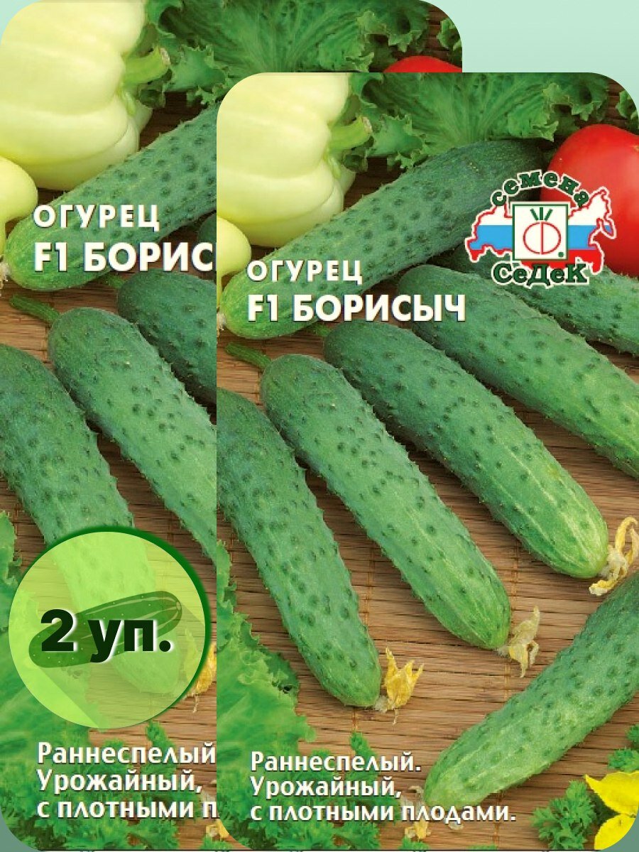Семена огурца "СеДеК" борисыч F1 (2 уп.)