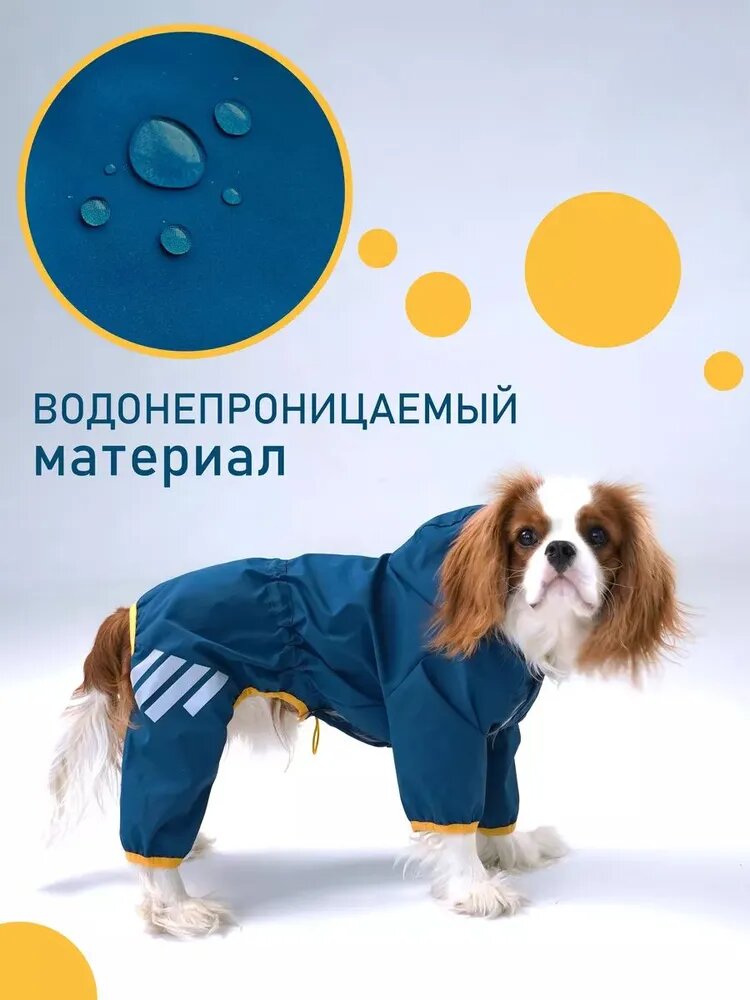 Одежда для собак дождевик синего цвета XXL для крупных пород, непромокаемый дождевик из полиэстера — фото 1