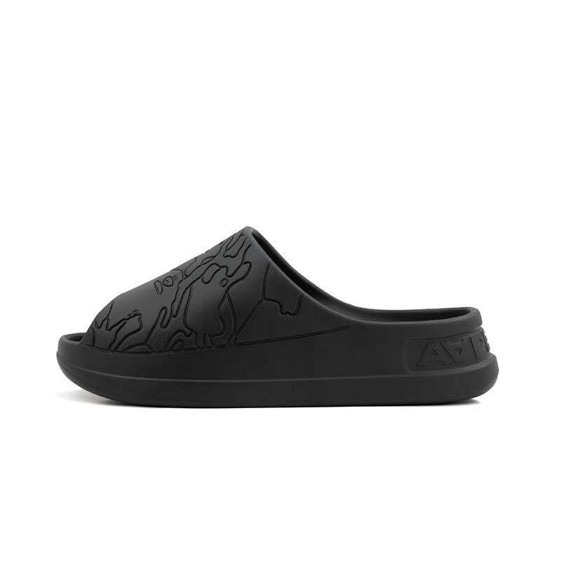 Сланцы
