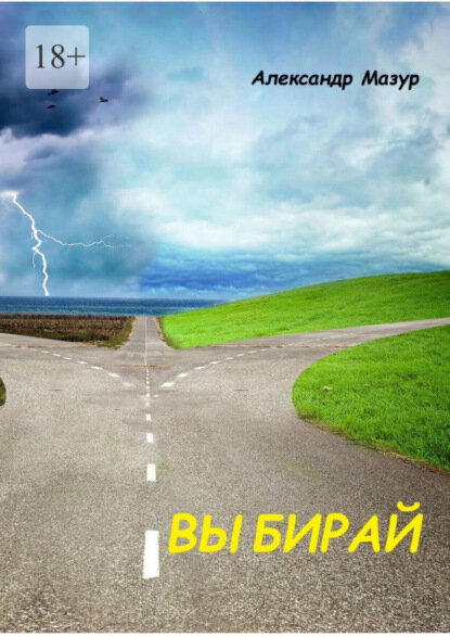 Выбирай [Цифровая книга]