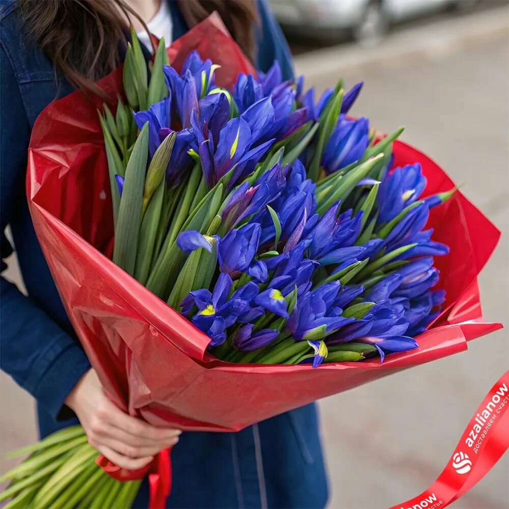 Букет из 35 ирисов в красной пленке с атласной лентой от АзалияНау