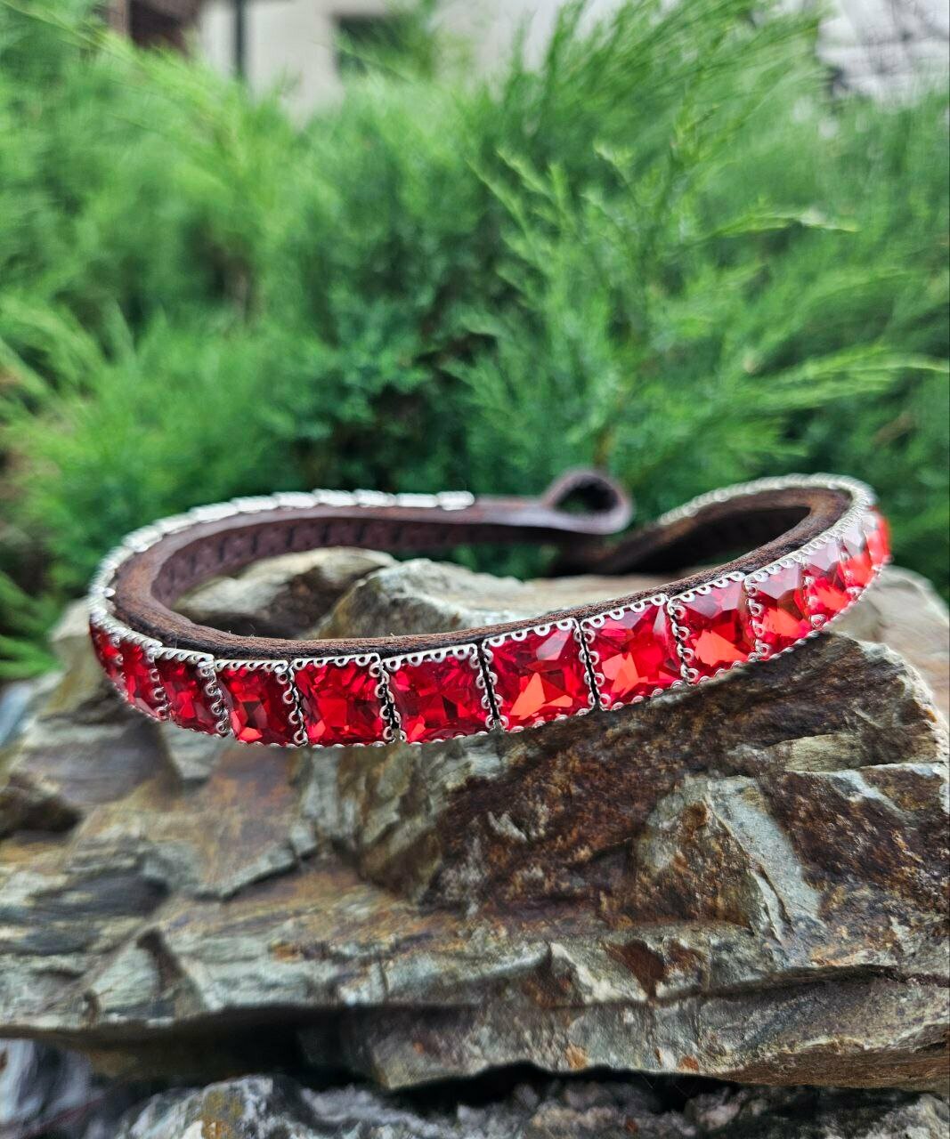 Налобник для лошади