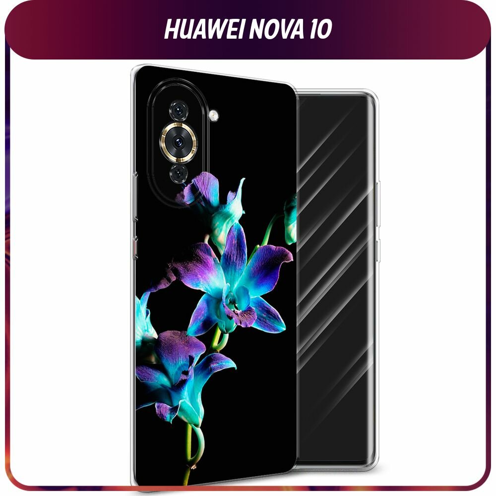 Чехол на Huawei Nova 10 / Хуавей Нова 10 с принтом "Синий цветок на черном"