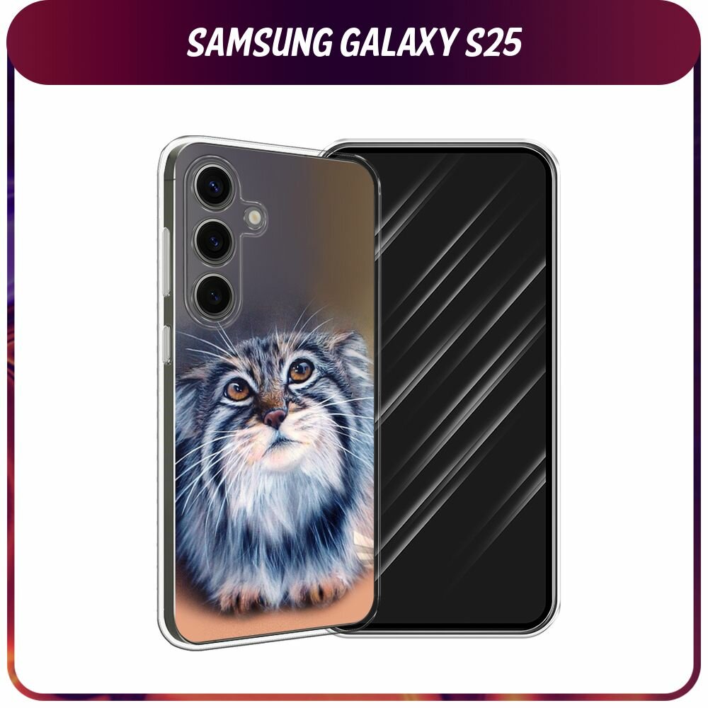 Чехол на Samsung Galaxy S25 / Самсунг S25 с принтом "Кот манул 2"