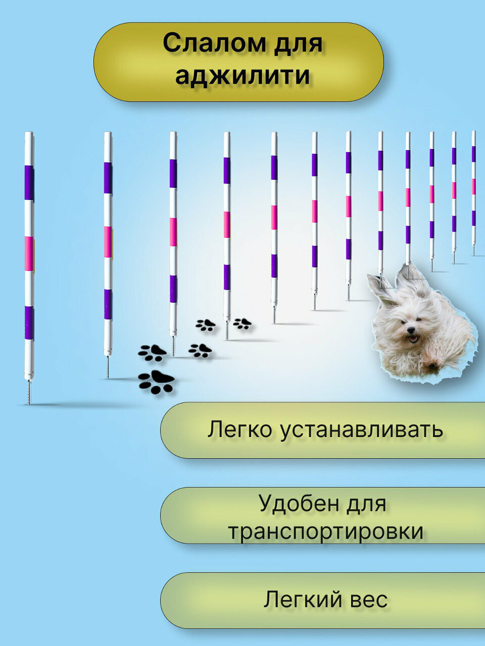 Слалом для аджилити (слалом для собак)