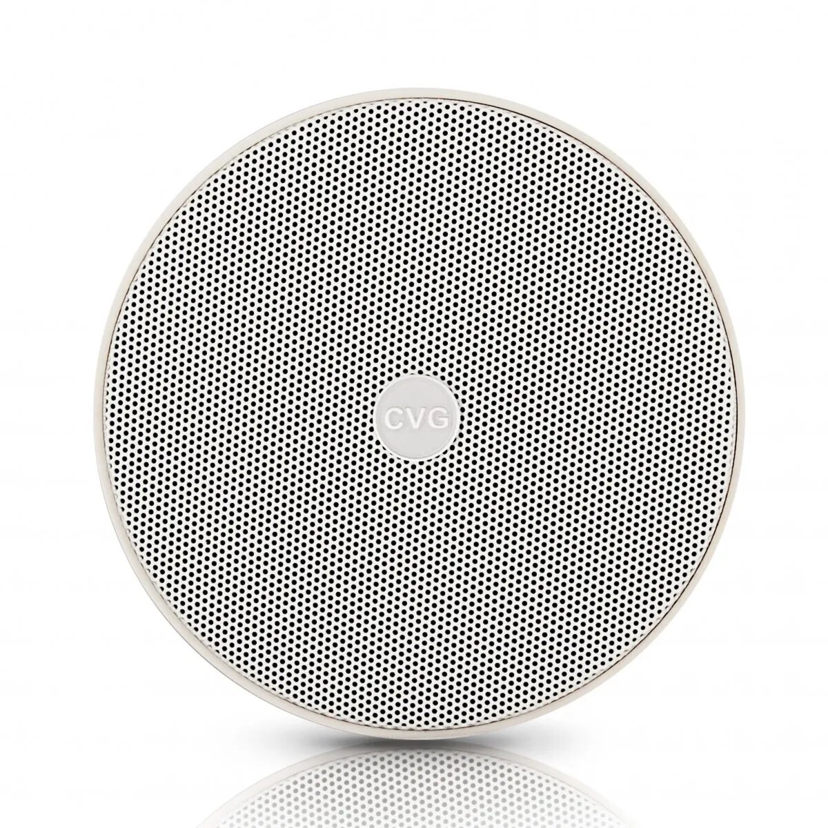 Акустическая система CVGaudio SPC5T (звуковой прожектор)