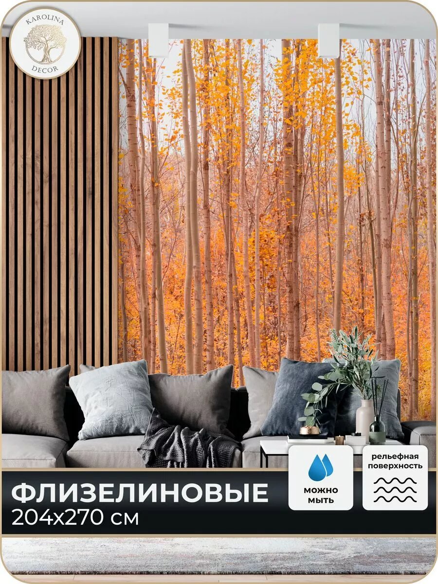 Фотообои Осенний Лес для зала в детскую в спальню 200х270