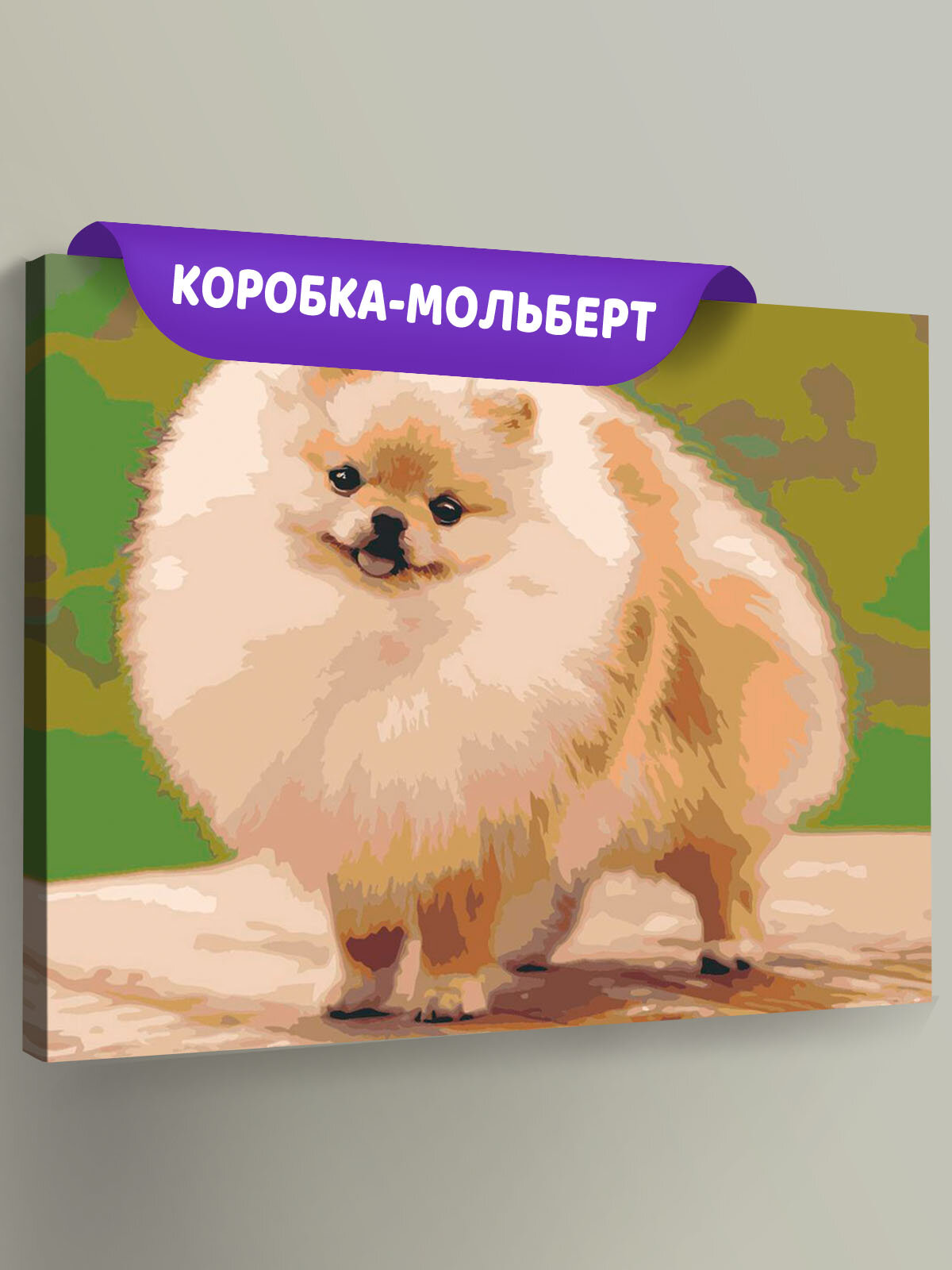 Картина по номерам на холсте с подрамником "Собаки: Шпиц пушистый щенок" Раскраска 40x50 см, Животные Природа