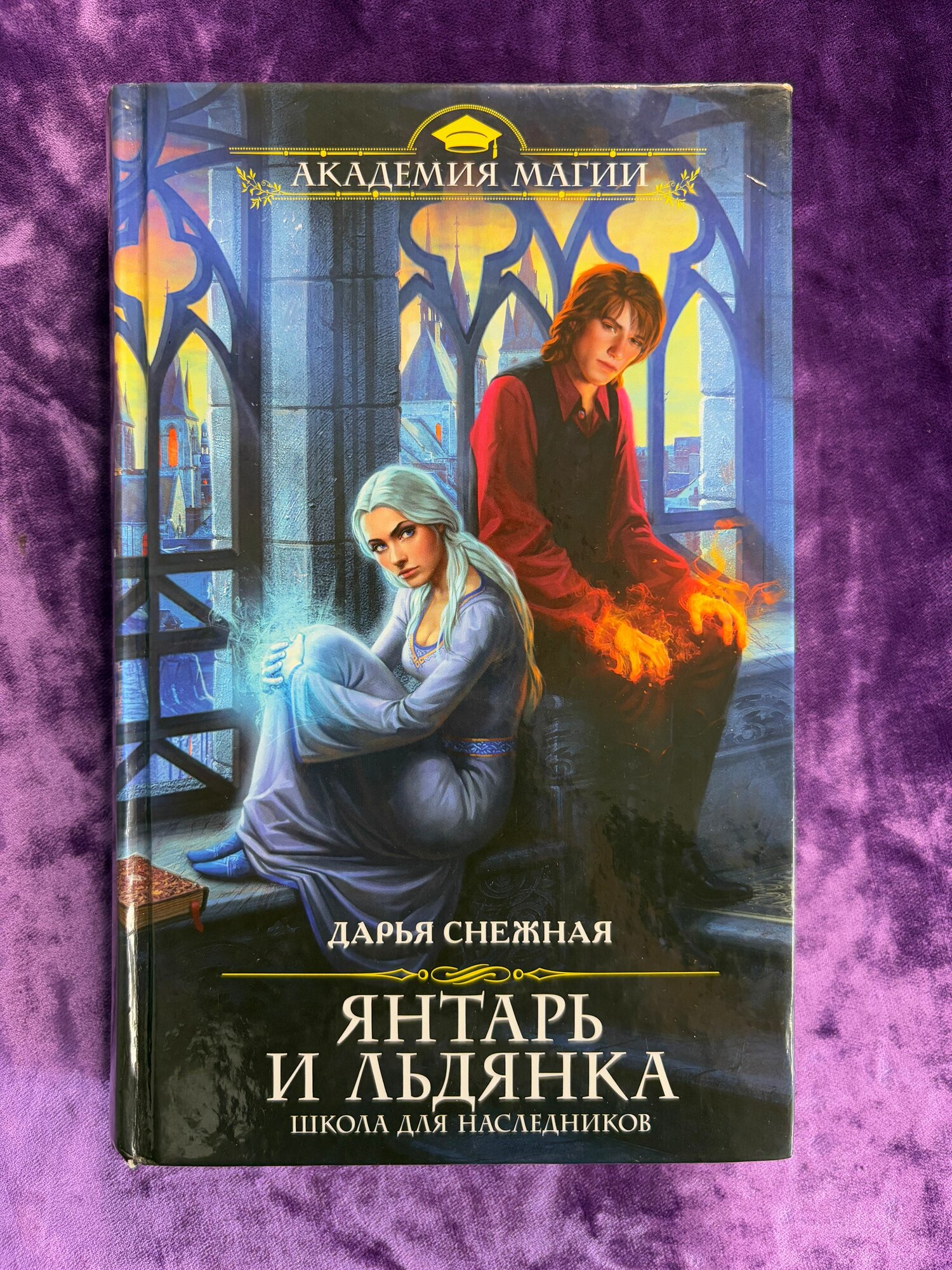 Янтарь и льдянка. Школа для наследников