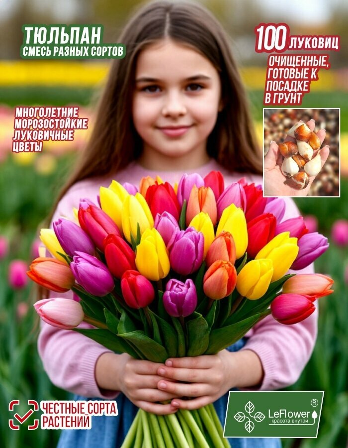 Тюльпан Луковица, Микс сортов 100 шт (LeFlower)
