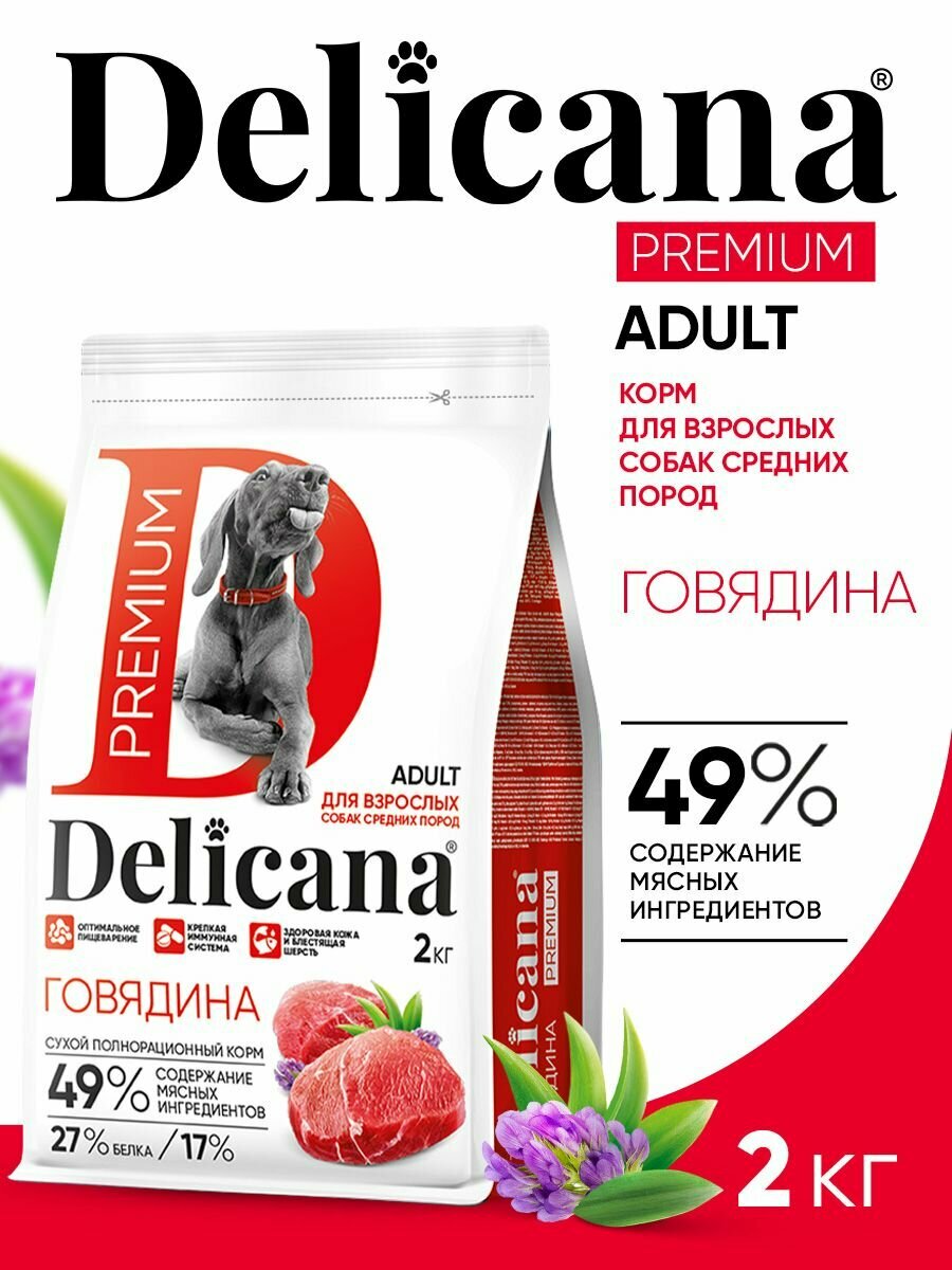 Корм для собак сухой Delicana для средних пород Говядина 2 кг