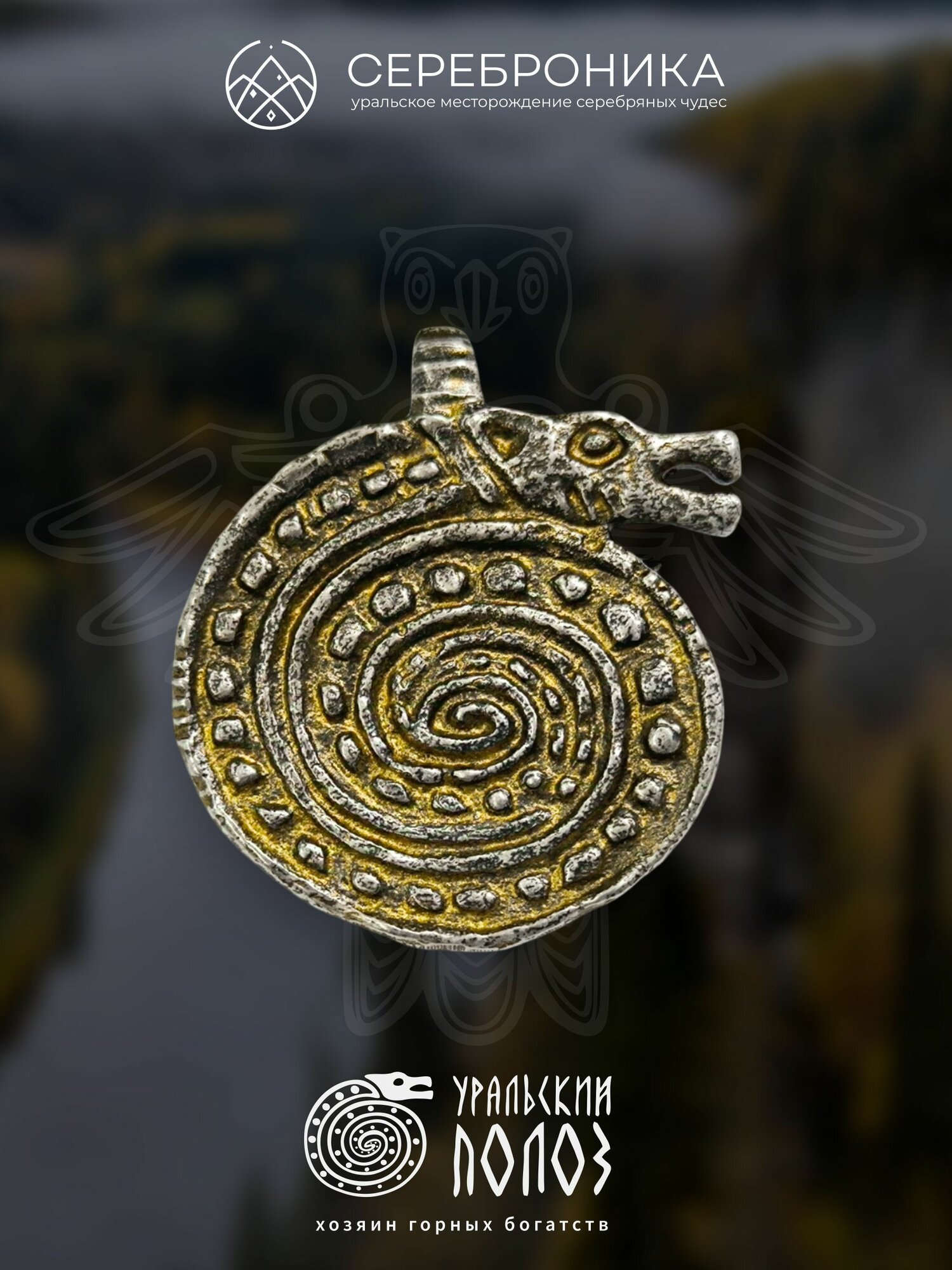 Брошь Сереброника, серебро, 925 проба, чернение