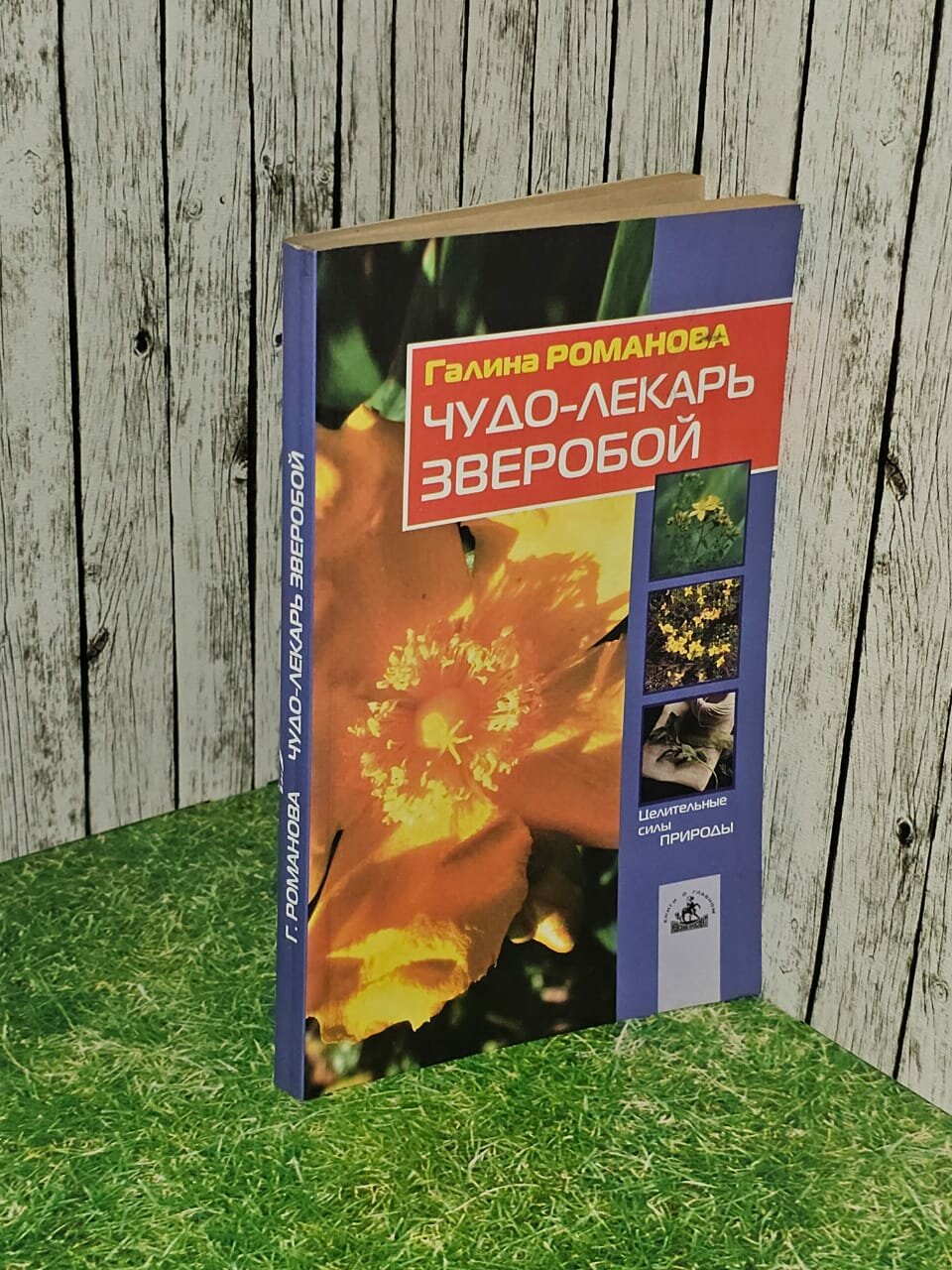 Чудо-лекарь зверобой. Романова Г.