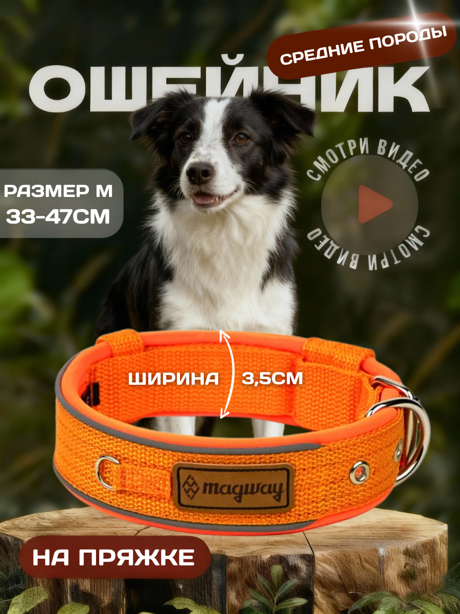 Ошейник для средних и крупных пород MagWay широкий 3,5см, мягкий, на неопрене, для щенков и взрослых, обхват шеи 33-47см, цвет оранжевый