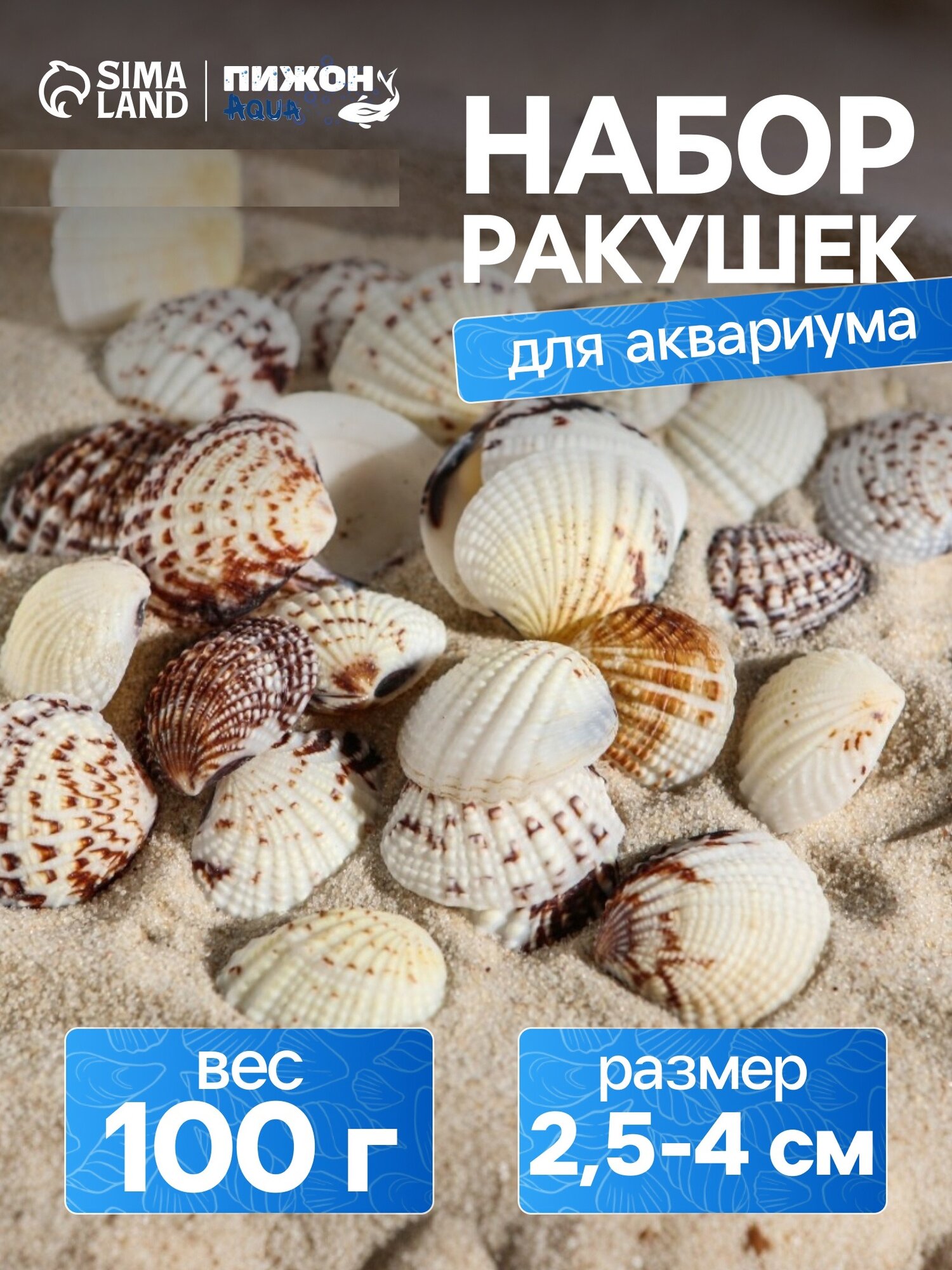 Набор ракушек Пижон Aqua, для аквариума и творчества, бежевый,