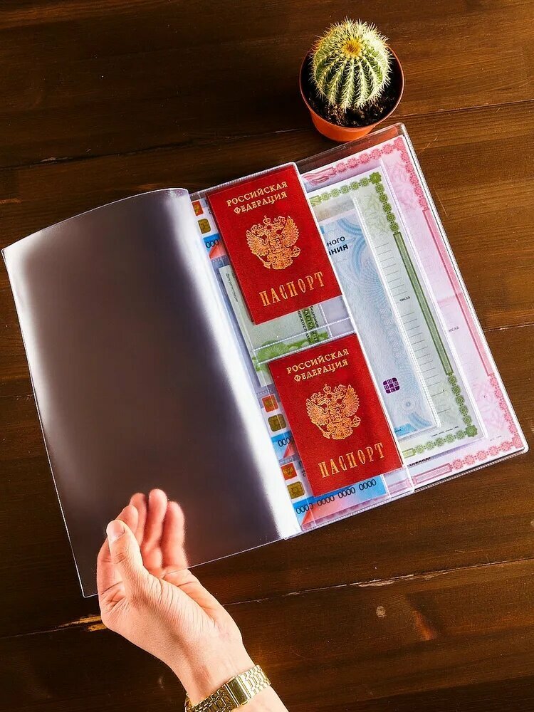 Папка с файлами A4 (21 × 29.7 см), 1 шт.