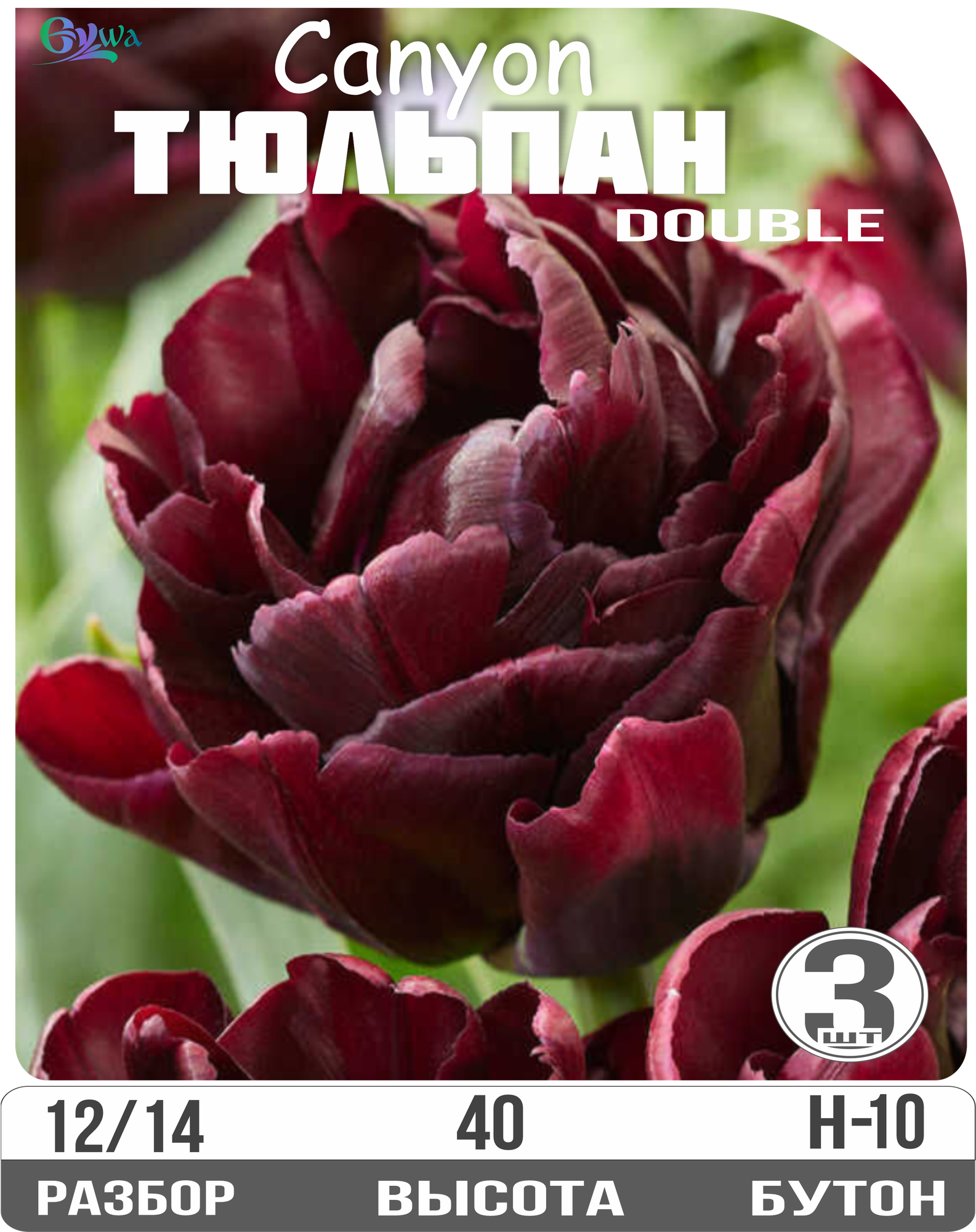 Тюльпаны Каньон, махровые, поздние, высота 40см, темно-фиолетовый, 3 шт, разбор 12/14 Eywa