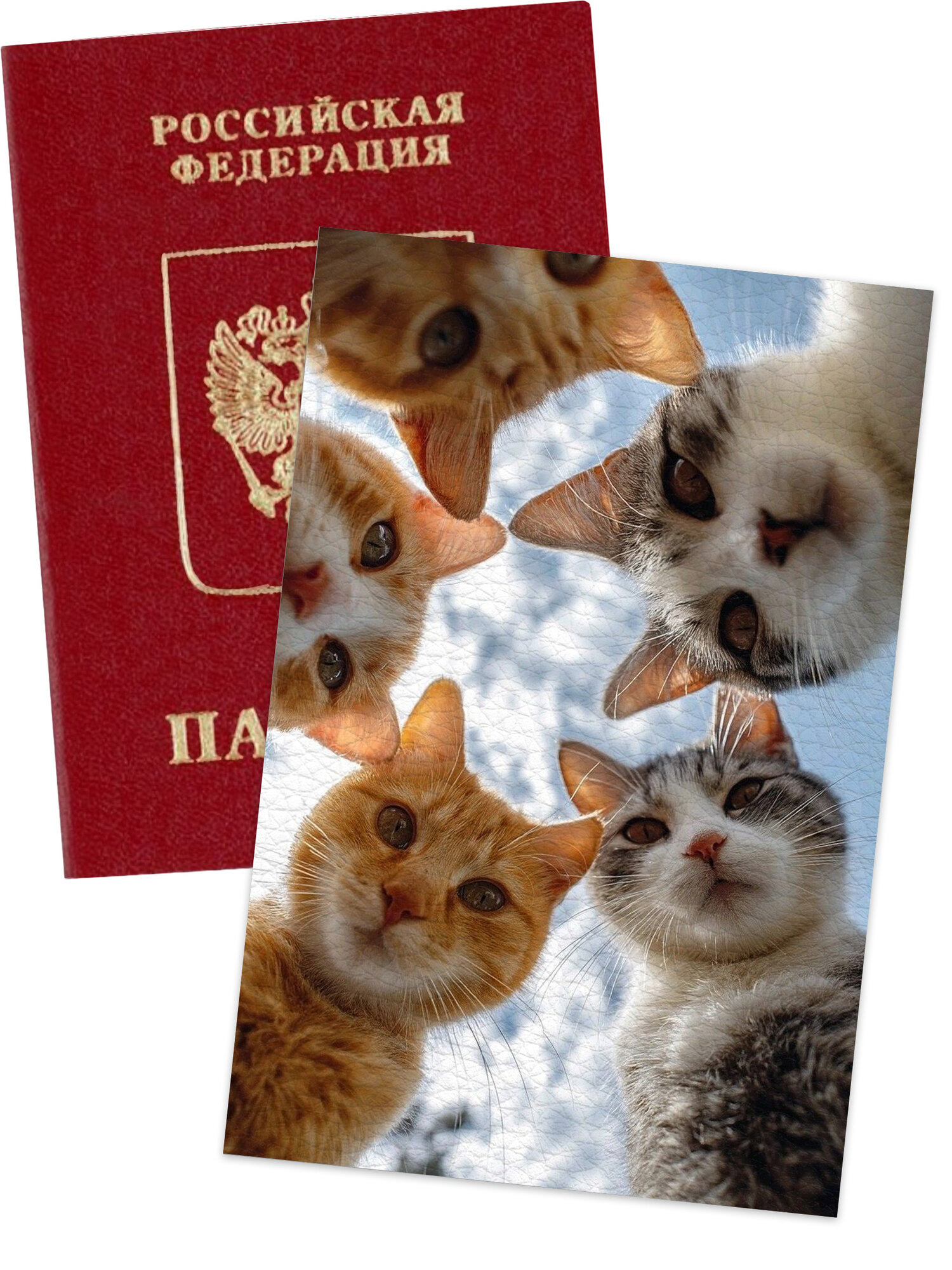 Обложка для паспорта