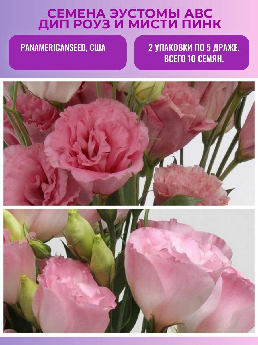 Эустома АВС Дип Роуз и Мисти Пинк, 2 упаковки по 5 драже.