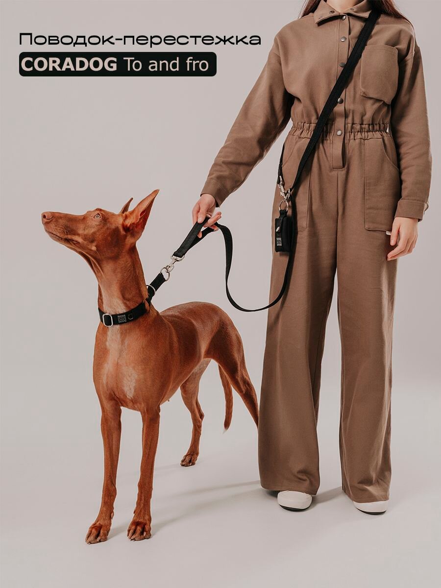 Поводок-перестежка для маленьких собак с ручкой контролем и подвижным кольцом hands free свободные руки, CORADOG To and fro, длина 2,5 м, цвет черный