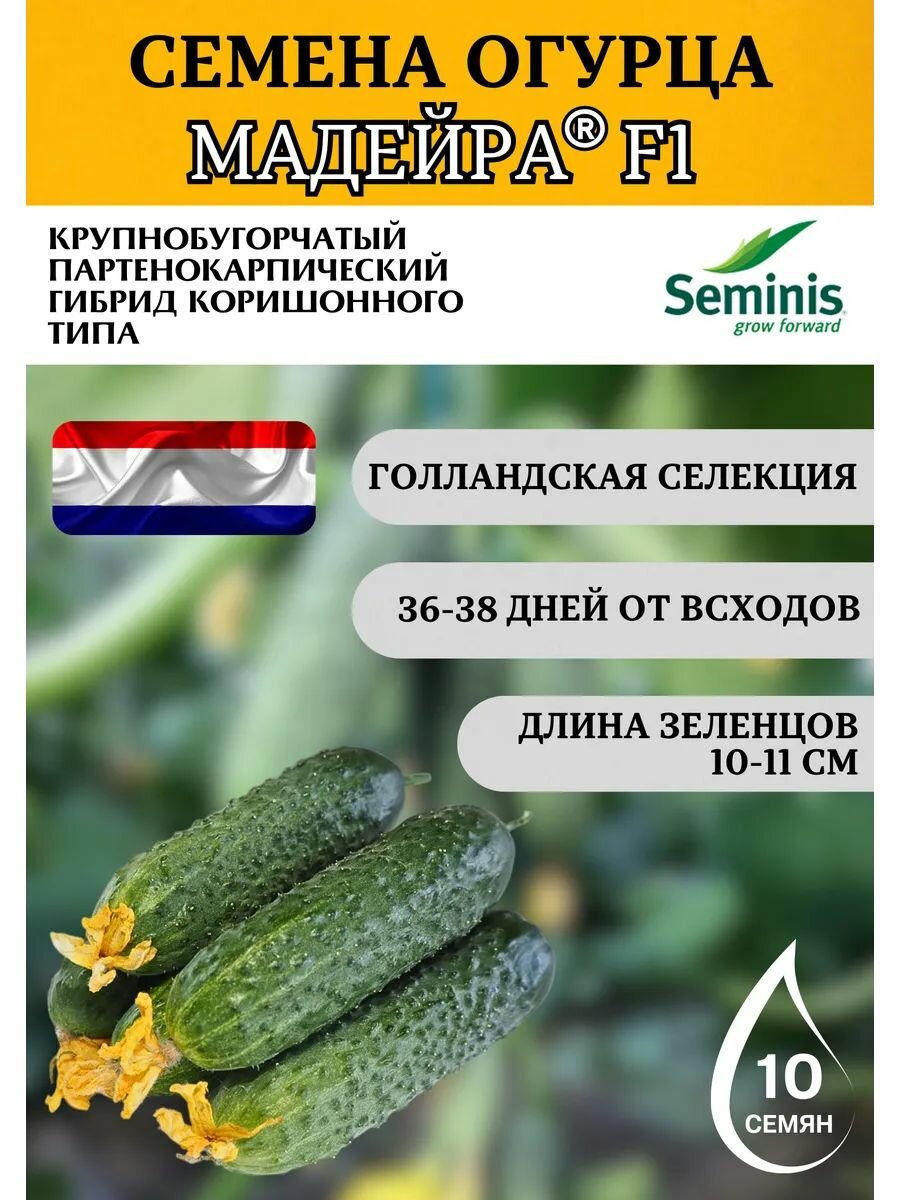 Семена огурца Мадейра F1 10 шт