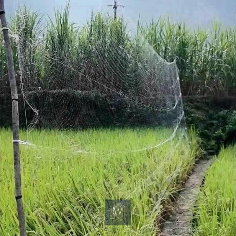 GEALFIS Орнитологические сети для ловли птиц, негабаритные 10000 3000 мм, экологичные, с УФ-защитой, для исследований и охраны, 1 шт