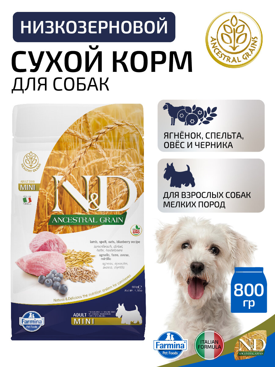 Сухой низкозерновой корм Farmina N&D Dog Ancestral Grain Dog Mini для собак мелких пород с ягненком, черникой и спельтой, 800 гр